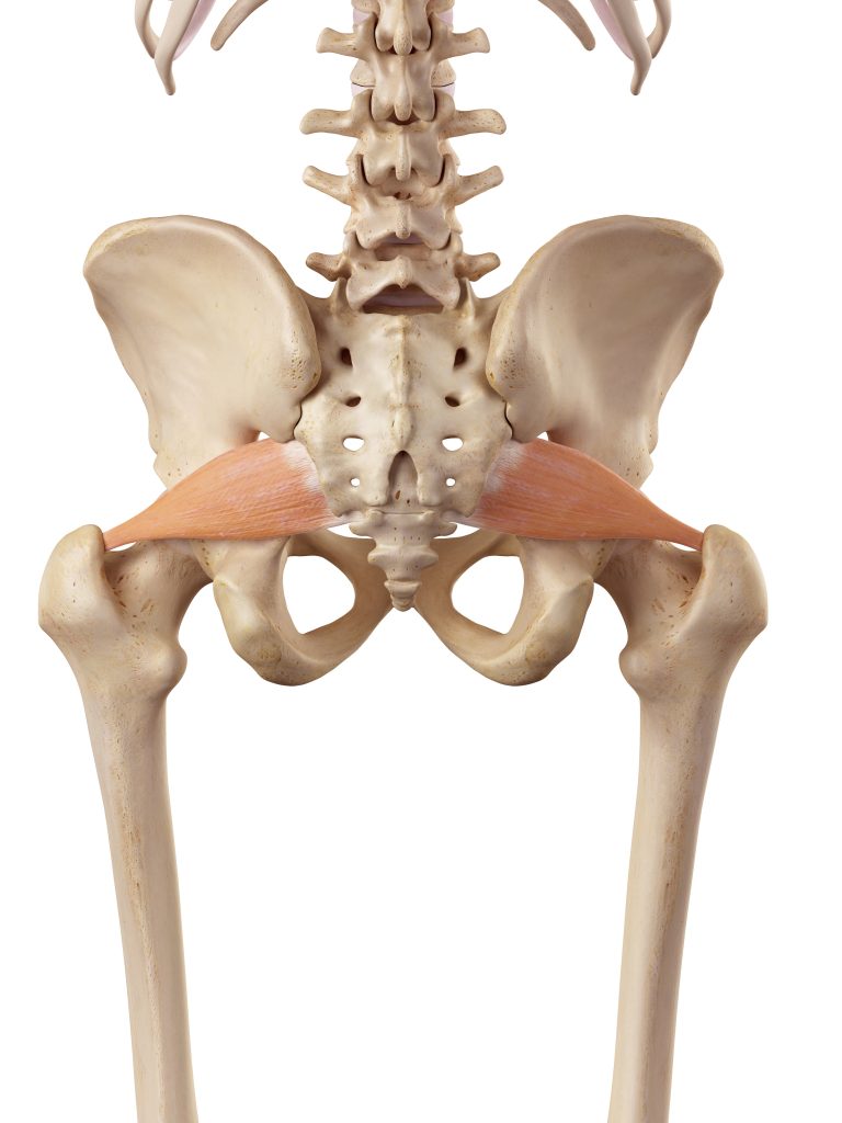 What Can I Do to Loosen My IT Bands and Piriformis Muscle?